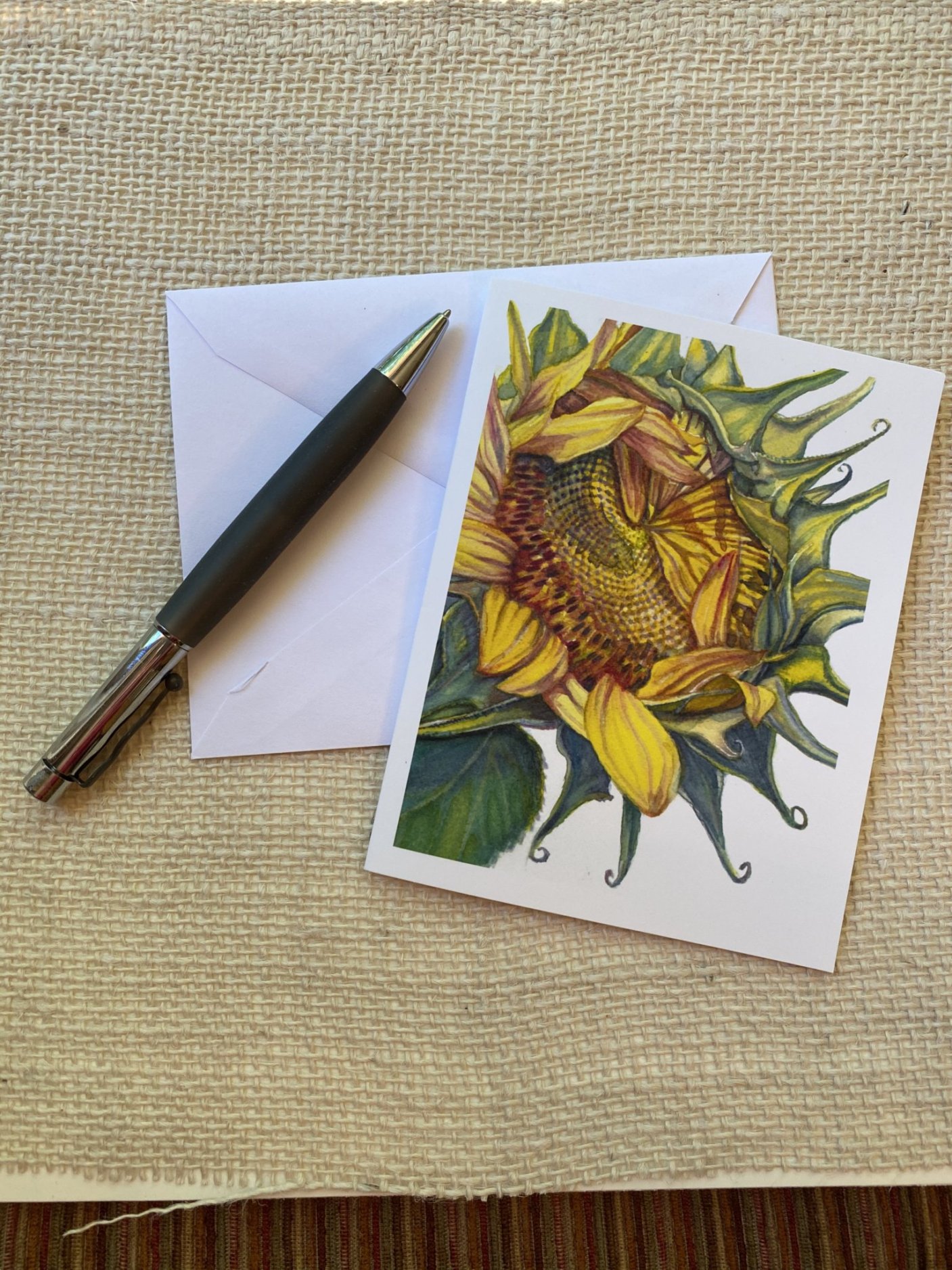 Sunflower Debut – Susan Bartel Art